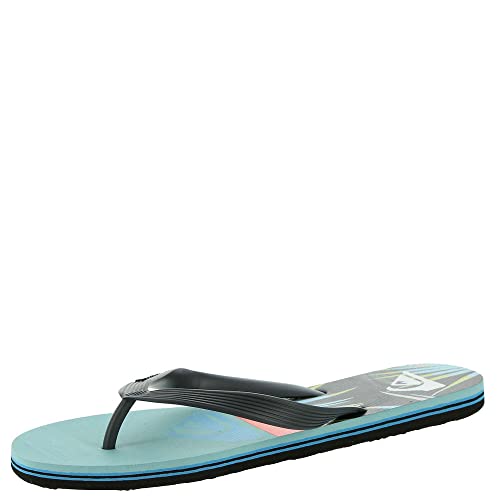 Quiksilver Men's Molokai Panel 3 Point Sandal Flip-Flop, Blue 2, 11