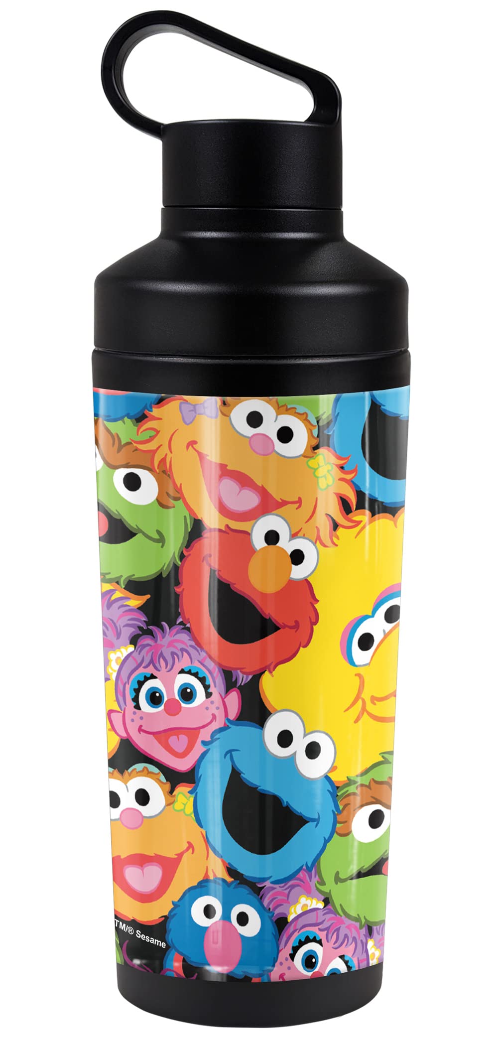 Sesame Street OFFICIAL Character Head Collage 18 oz Insulated Water Bottle, Leak Resistant, Vacuum Insulated Stainless Steel with 2-in-1 Loop Cap