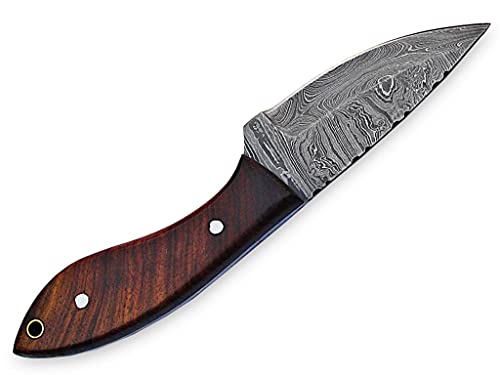 MMA 8inch Custom Handmade Damascus blade knife/Fixed blade knife with sheath/Fixed Blade Knives/Skinning Knives/Hunting Knives/EDC Knives (Brown)
