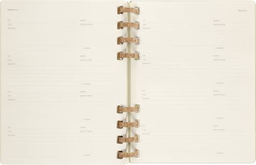 Moleskine 2024 Spiral Academic Planner, 12M, Extra Large, Crush Kiwi, Hard Cover (7.5 x 10)
