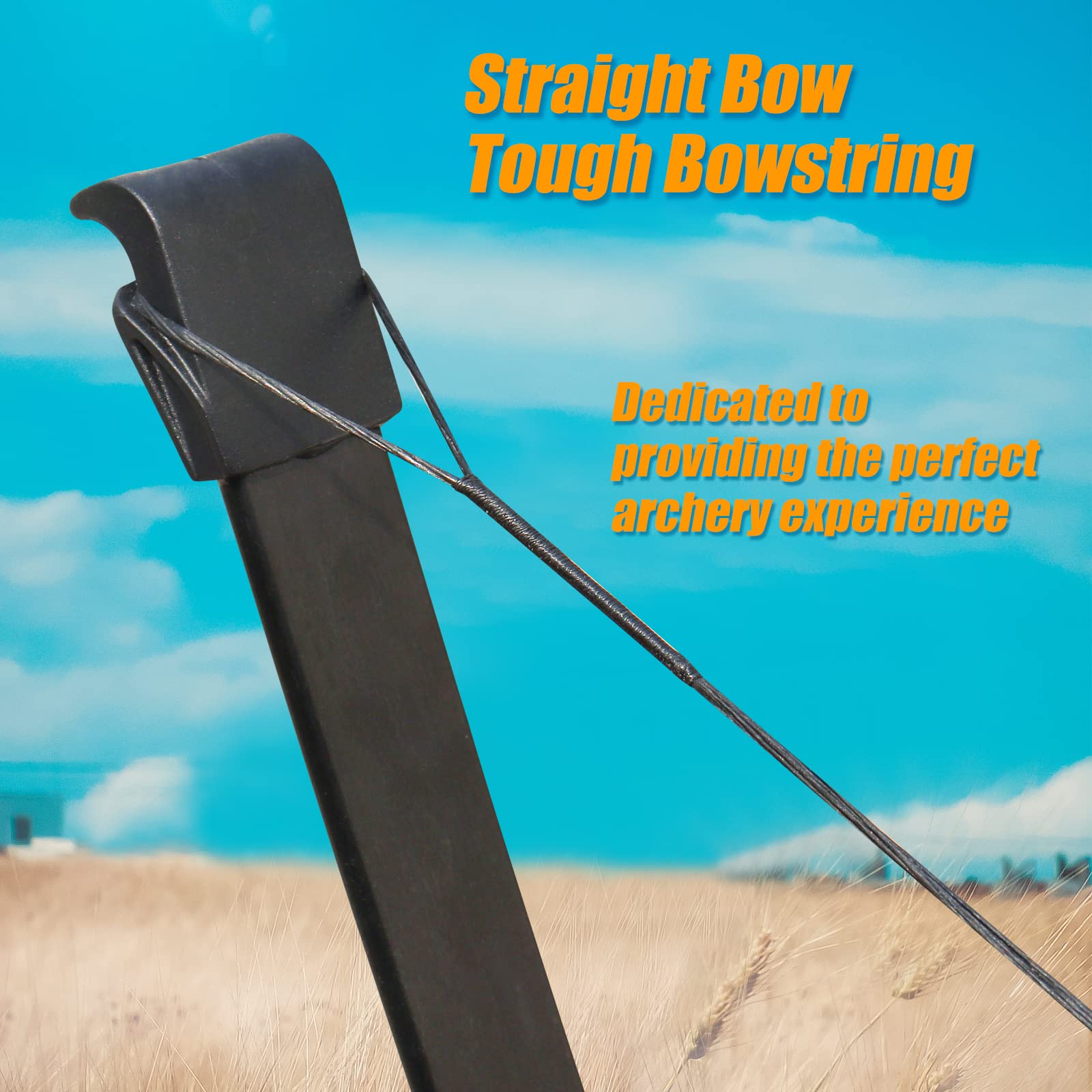 Takedown Bow, Archery Set for Right Left Hand, Long Bow for Beginner Adult, Recurve Bow and Arrows for Shooting Hunting Practice Training Backyard Target (40lb)