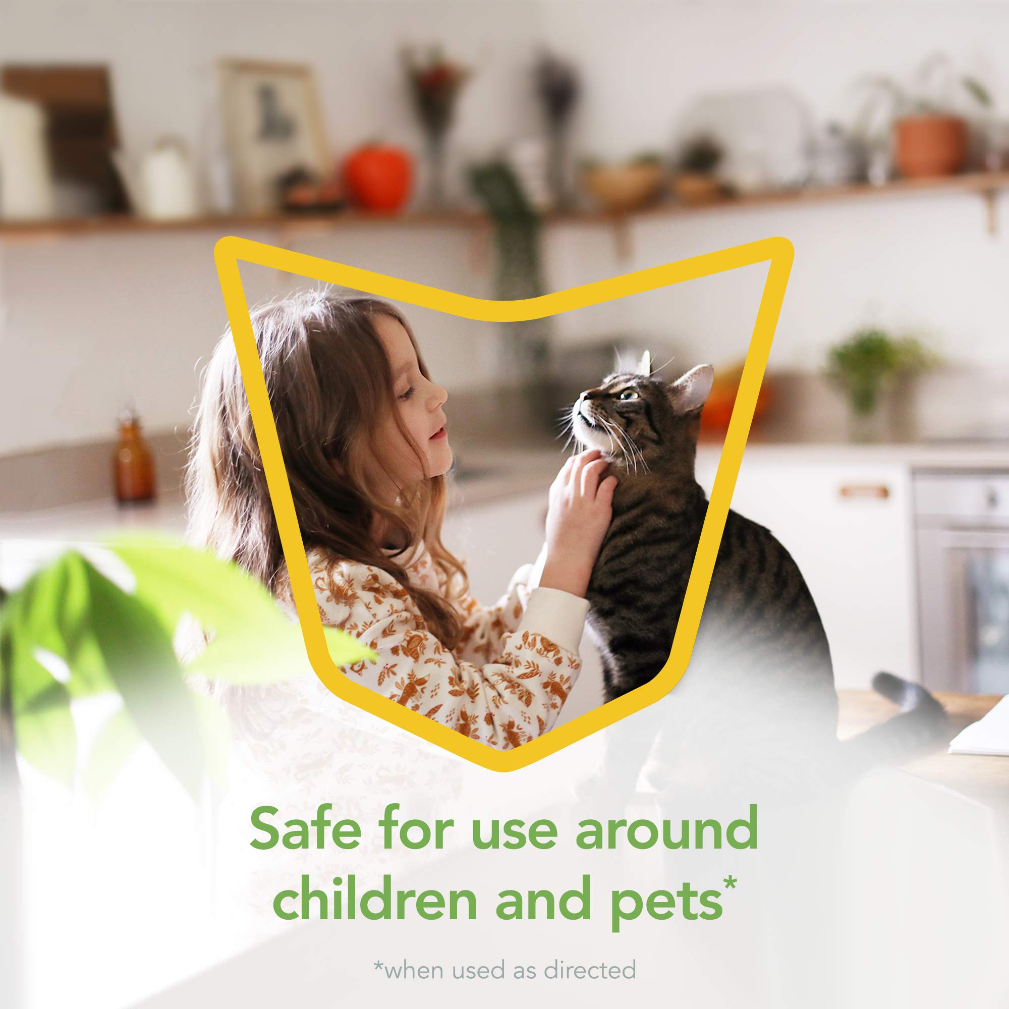 Raid Essentials Fly, Gnat, and Mosquito Killer Aerosol Spray, Safe for Use Around Children and Pets, 10 oz