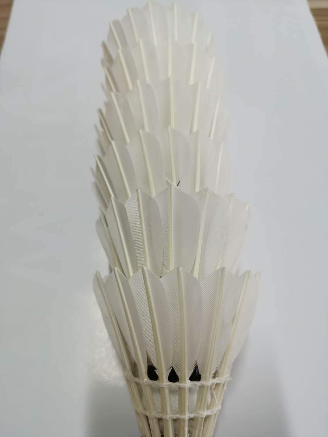 N/C Goose Feather Shuttlecock Durable Very Good 12 pcs in one Tube