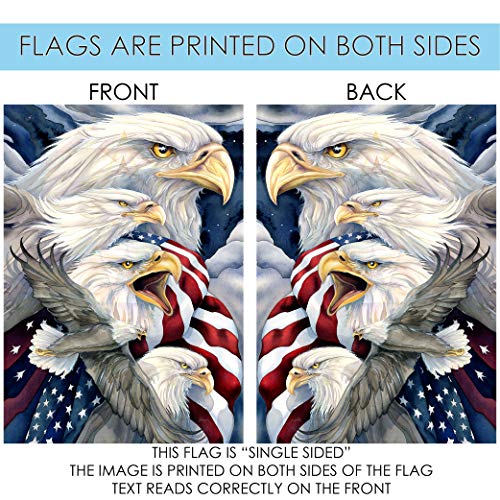 Toland Home Garden 1012379 Fly In Unity Patriotic Flag 28x40 Inch Double Sided Patriotic Garden Flag for Outdoor House Eagle Flag Yard Decoration