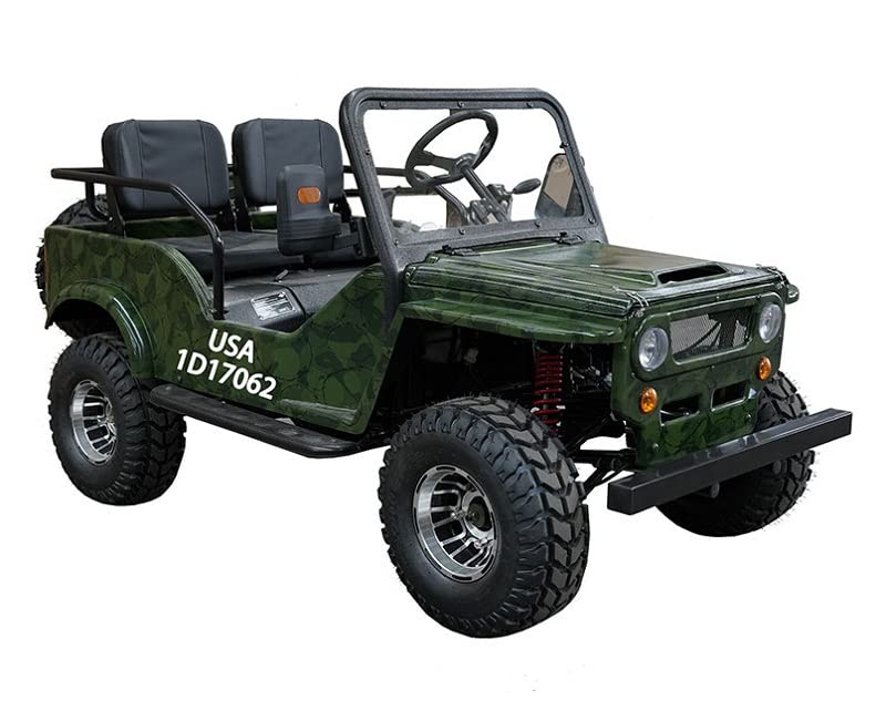 VITACCI GR2-125cc GoKart with Windshield 125cc Semi Auto Youth Jeep Go-Kart with Reverse (Green Color)