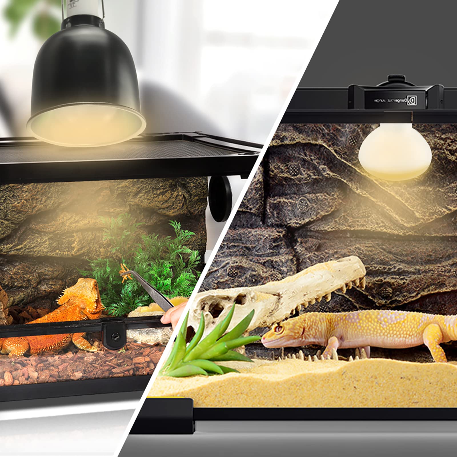 LUCKY HERP 4 Pack 75W Reptile Heat Lamp Bulb (2nd Gen), Amphibian Basking Light Bulb, Reptile Daylight Bulb for Turtle, Bearded Dragon, Lizard Heating Use