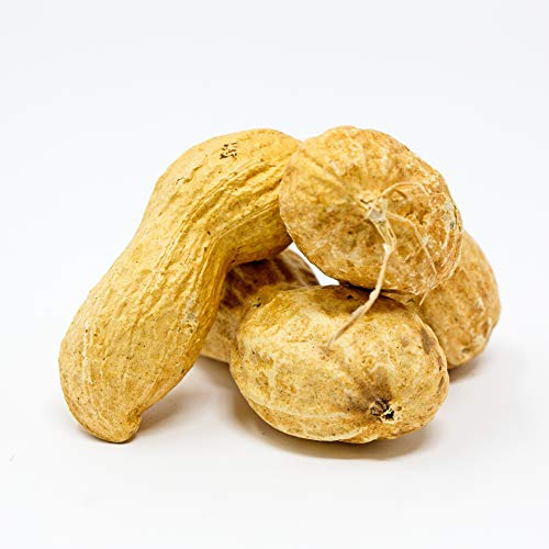 Sky | Premium USA Grown, Raw Peanuts in Shell For Squirrels, 2.5lb | Unsalted Peanuts In The Shell, Boiled Peanuts, Jumbo Raw Peanuts in the Shell, Squirrel Peanuts in Shell Unsalted