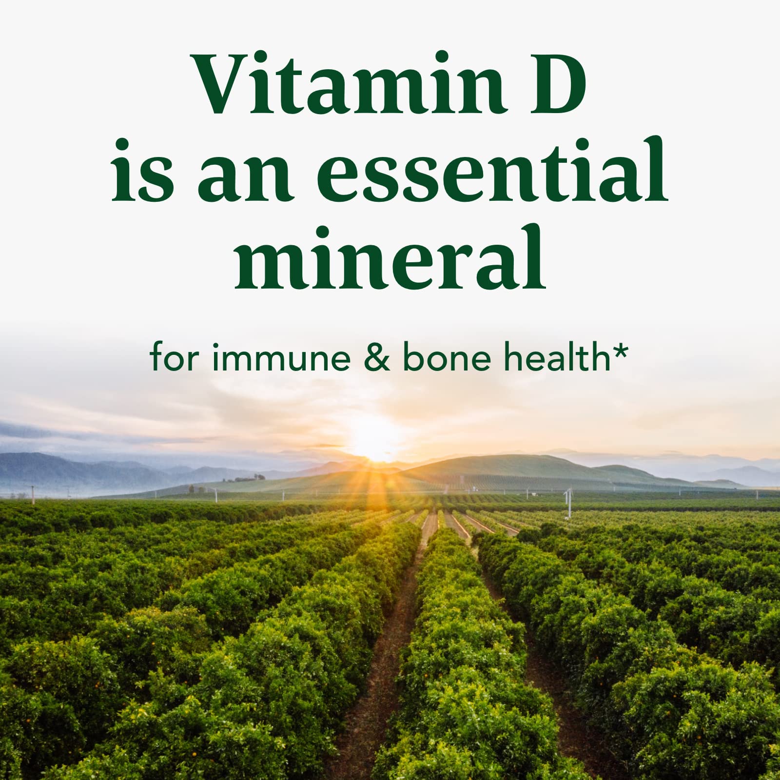 MegaFood Vitamin D3 5000 IU (125 mcg) - VegetarianāÆVitamin D Supplements with Vitamin D3 K2, Supports Bones, Teeth, Muscles & Immune Health, Certified Non-GMO - 120 Mini Capsules, 120 Servings
