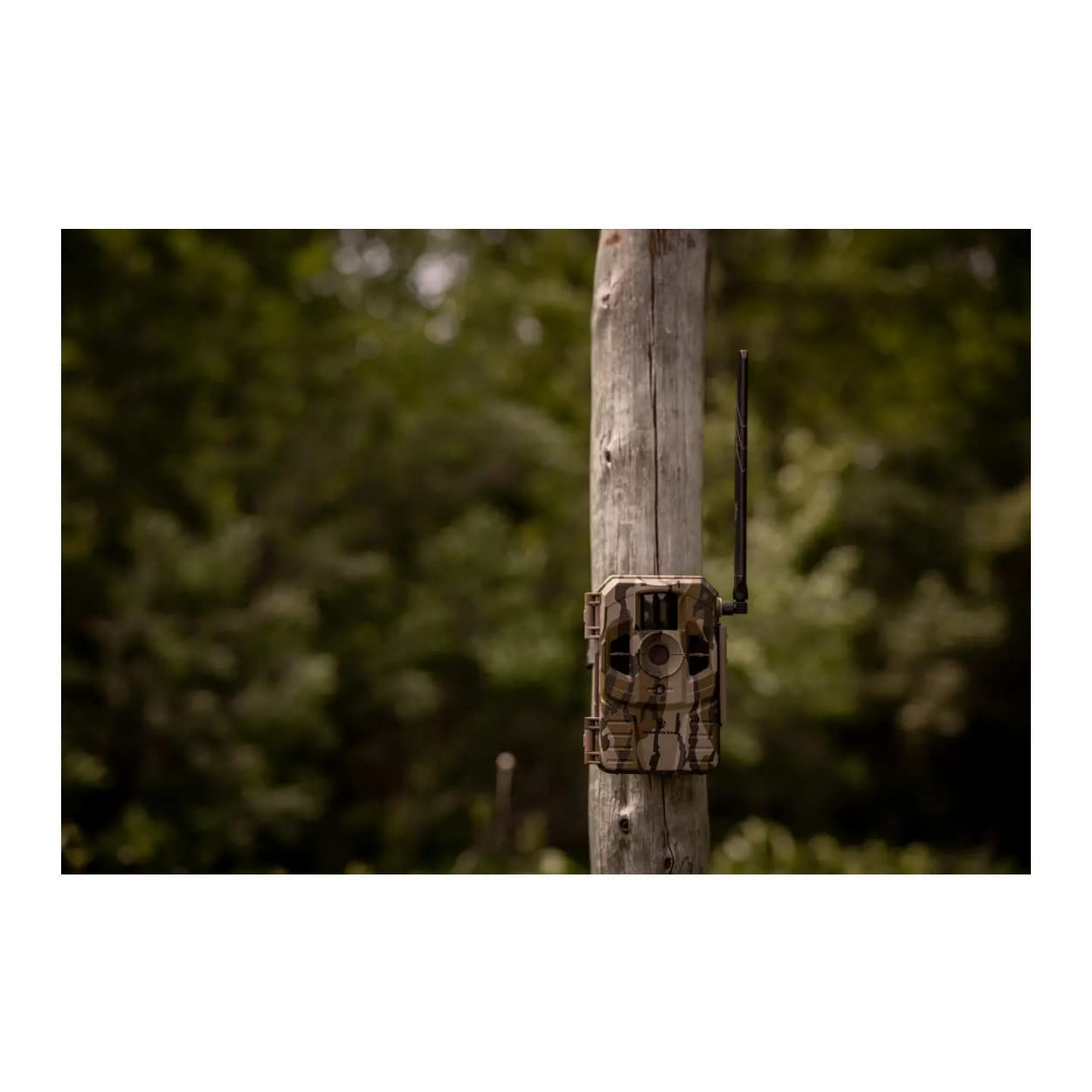 Stealth Cam Connect Cellular Trail Camera (AT&T, 2-Pack) Bundle with 32GB Ultra SDHC UHS-I Memory Card (100MB/s, 2-Pack) and All-in-One High-Speed Card Reader (5 Items)