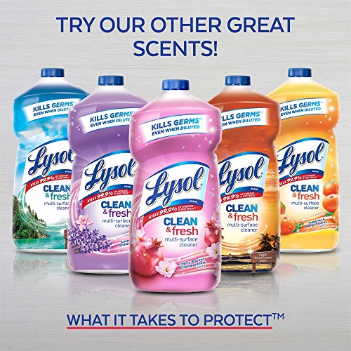 Lysol Multi-Surface Cleaner, Sanitizing and Disinfecting Pour, to Clean and Deodorize, Cool Adirondack Air, 48oz