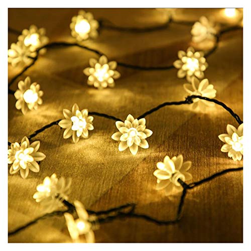 LIUPENGWEI Solar Lights Outdoor, Fairy Lights Solar Garden Lights Copper Wire Solar String Lights, Waterproof for Halloween, Christmas, Tree, Garden, Home, Wedding, Party Garden Ghost Light