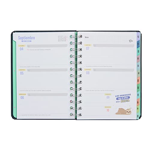 Mr. Wonderful, Wonder 2023-2024 Weekly Planner, Lots to Get and Thousand Dreams to Fulfill