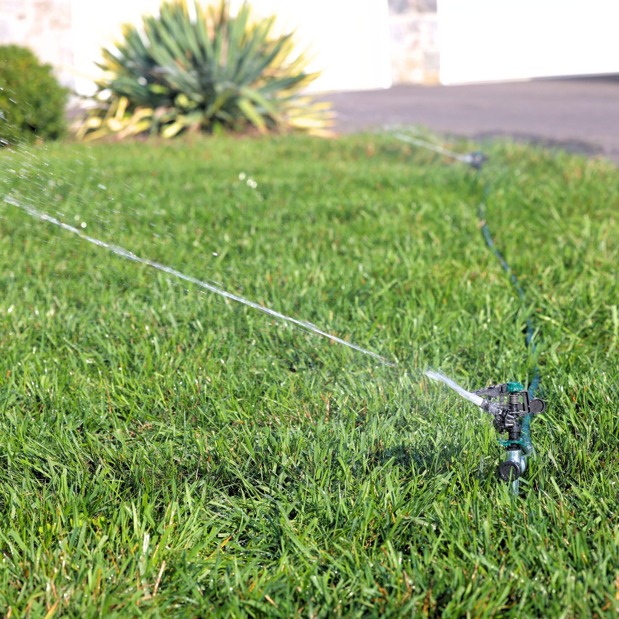 Melnor 65176AMZ Pulsating Sprnk w/Spike Sprinkler Bundle, Green, Black