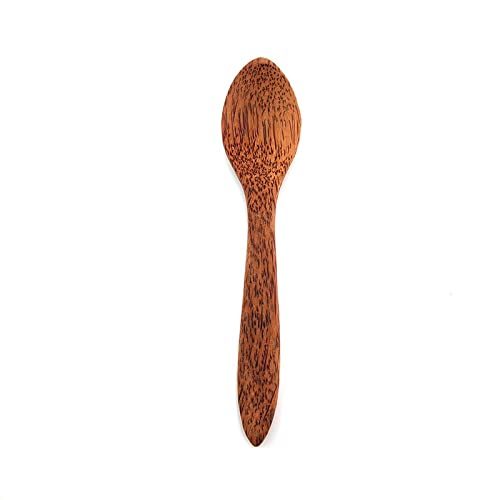 MABSSI Wooden Cutlery Natural Wooden Coconut Spoon, Coconut Shell Bowl Spoon Set