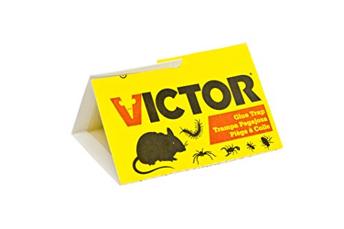 Victor M320 Professional Glue Boards for Insect and Rodent monitoring - 150 Glue Boards