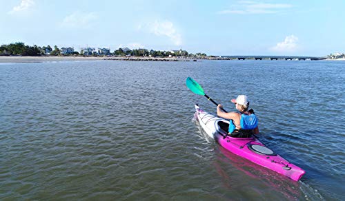 Perception Kayaks Expression 11.5 | Sit Inside Kayak | Light Touring Kayak with Adjustable Zone Seating | 11' 6" | Dapper