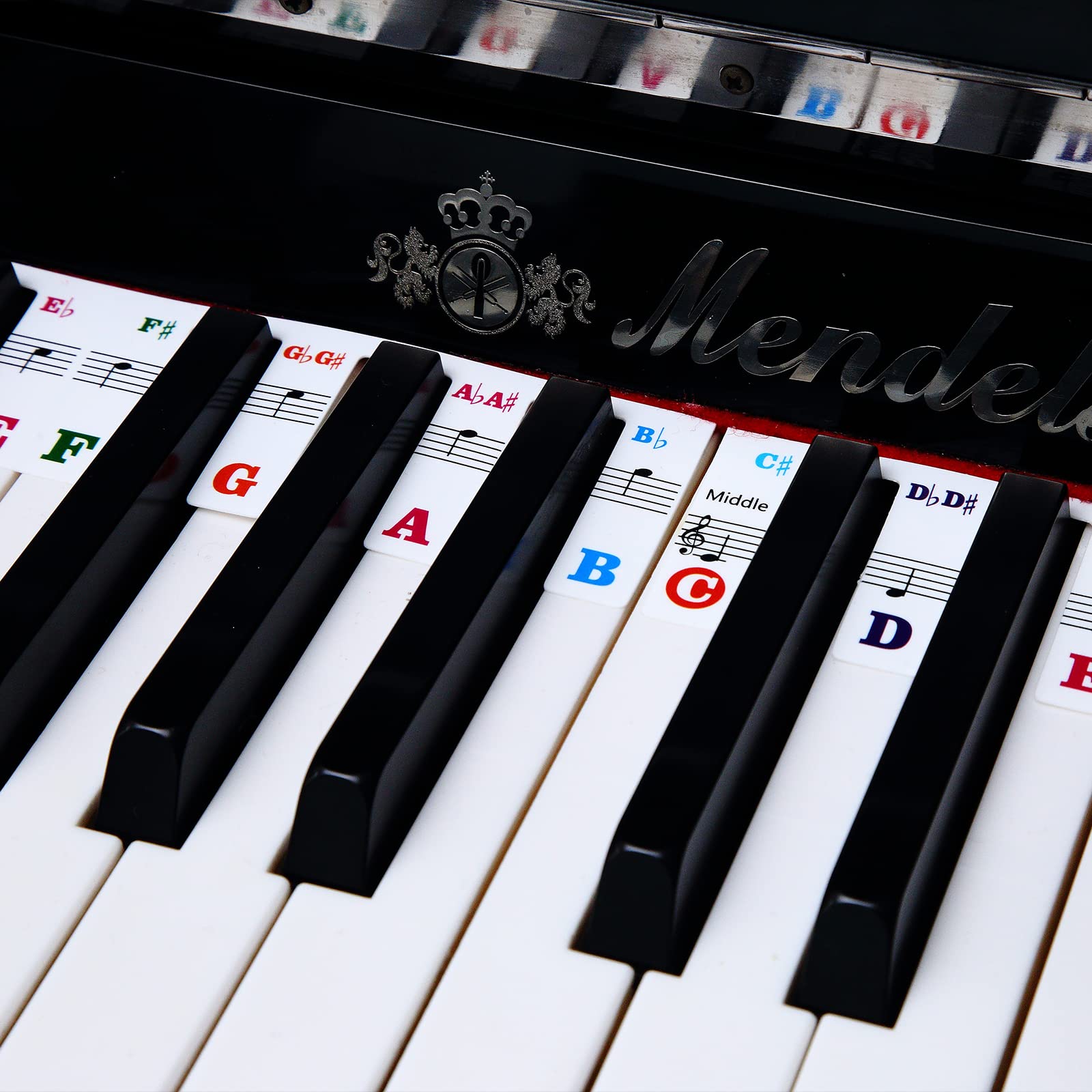 Piano Key Stickers for Beginners Kids 61/88 Full-Size Keys Piano Keyboard Rake Notes Marker Overlay with Case (61 keys)