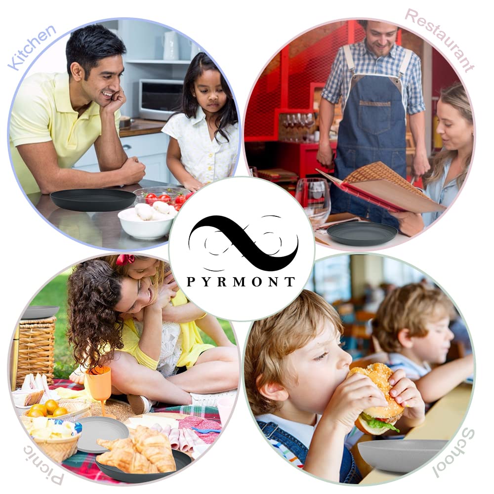 PYRMONT Dinner Plates Set of 8 Unbreakable Wheat Straw Plates 10-inch Large Plates Plastic Plates Reusable Dishwasher and Microwave Safe Unbreakable Plates for Kids (Grey Stone)