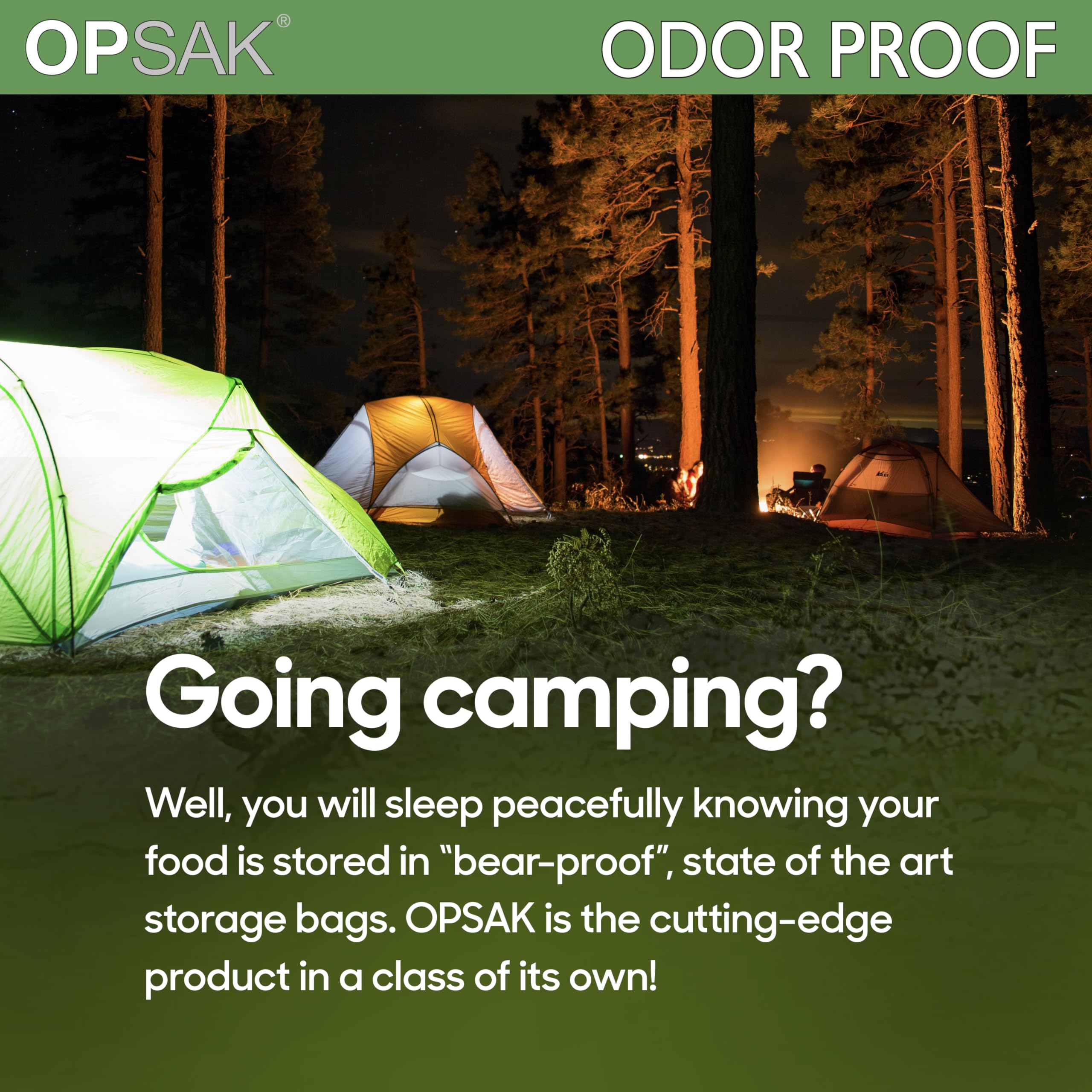 LOKSAK - OPSAK Odorproof Dry Bags for Backpacking, Hiking and Storage- Resealable and Reusable Storage Bags (2 Pack - 12 Inch x 20 Inch)