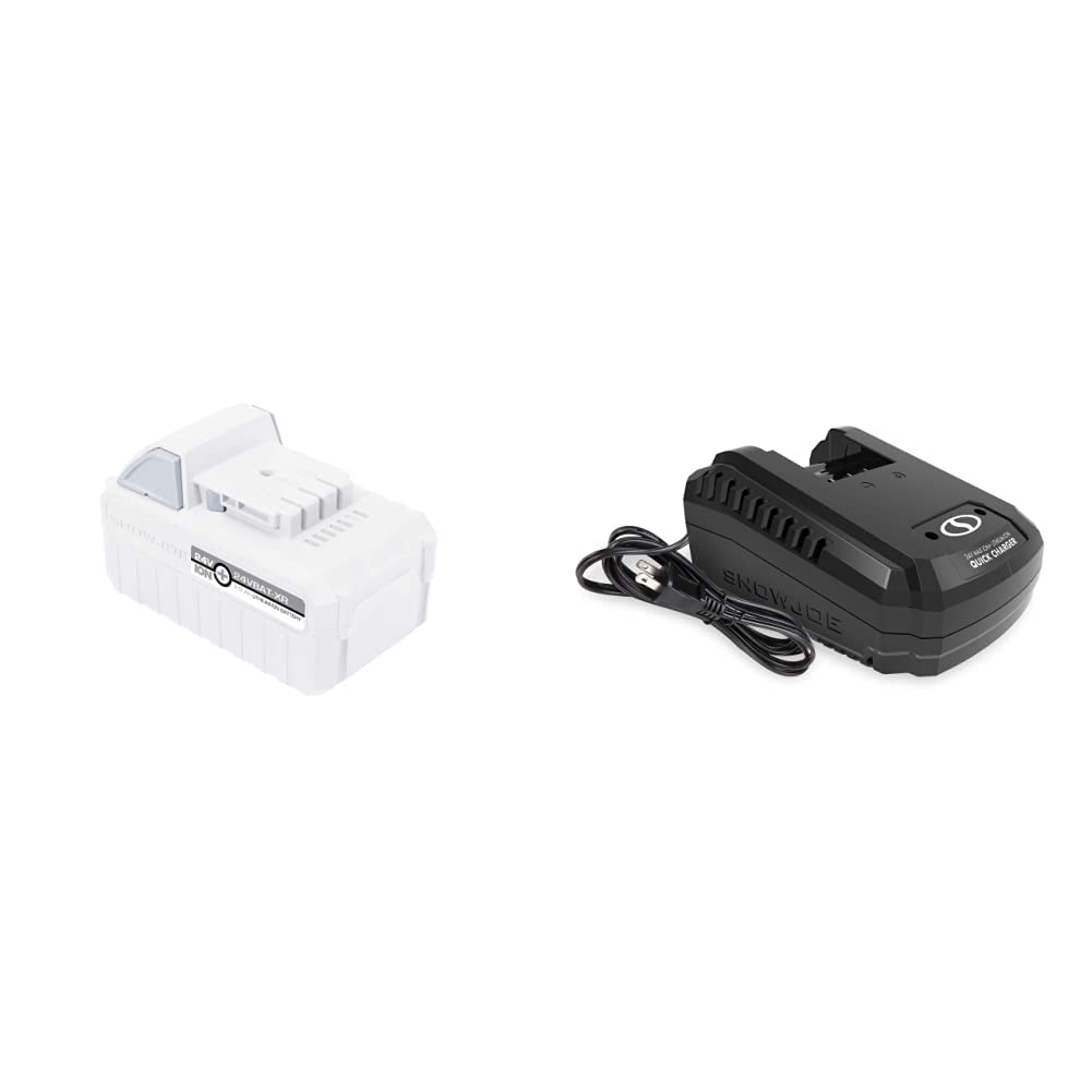 Snow Joe 24V Lithium-Ion Battery Bundle with Dual Port Quick Charge Docking Station