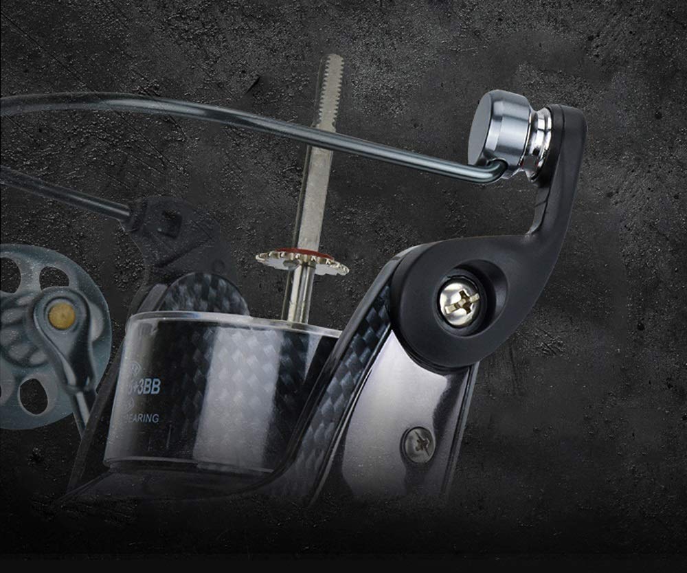 LLJPYX7L Black Fishing Reel, 14 Durable Stainless Steel Bearings, Drop Resistant, Rust-Proof Design, Interchangeable Left and Right Rocker, All Metal high Power Body (Color : Two Reel)