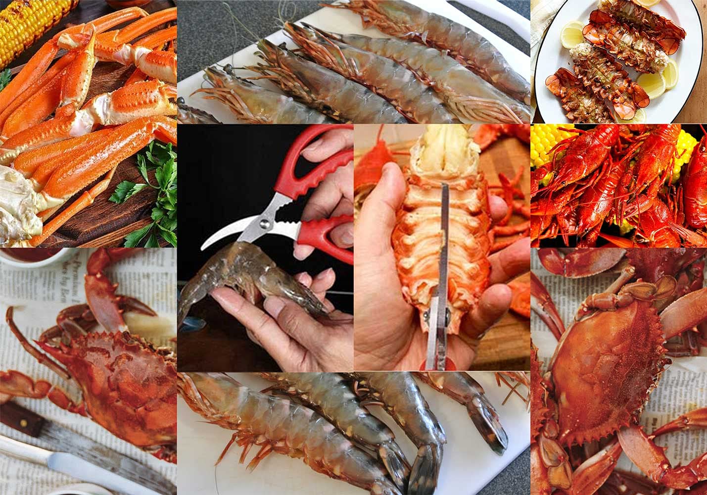 ROEDEER Kitchen Stainless Steel Seafood Scissors for Lobster,Shrimp,Crab,Crab Claw,King Crab Leg,Fish,Shellfish,Crawfish,6" And 7" 2PCS Shears