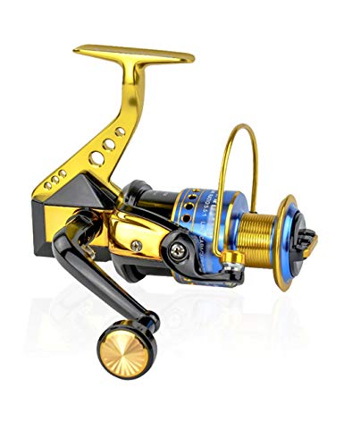 LLJPYX7L Salt Water Reel with 11 Bearings, Ultra-Smooth Fishing Reel, 5.5:1 Gear Ratio, Left/Right Rocker arm Interchangeable (Color : 6000)