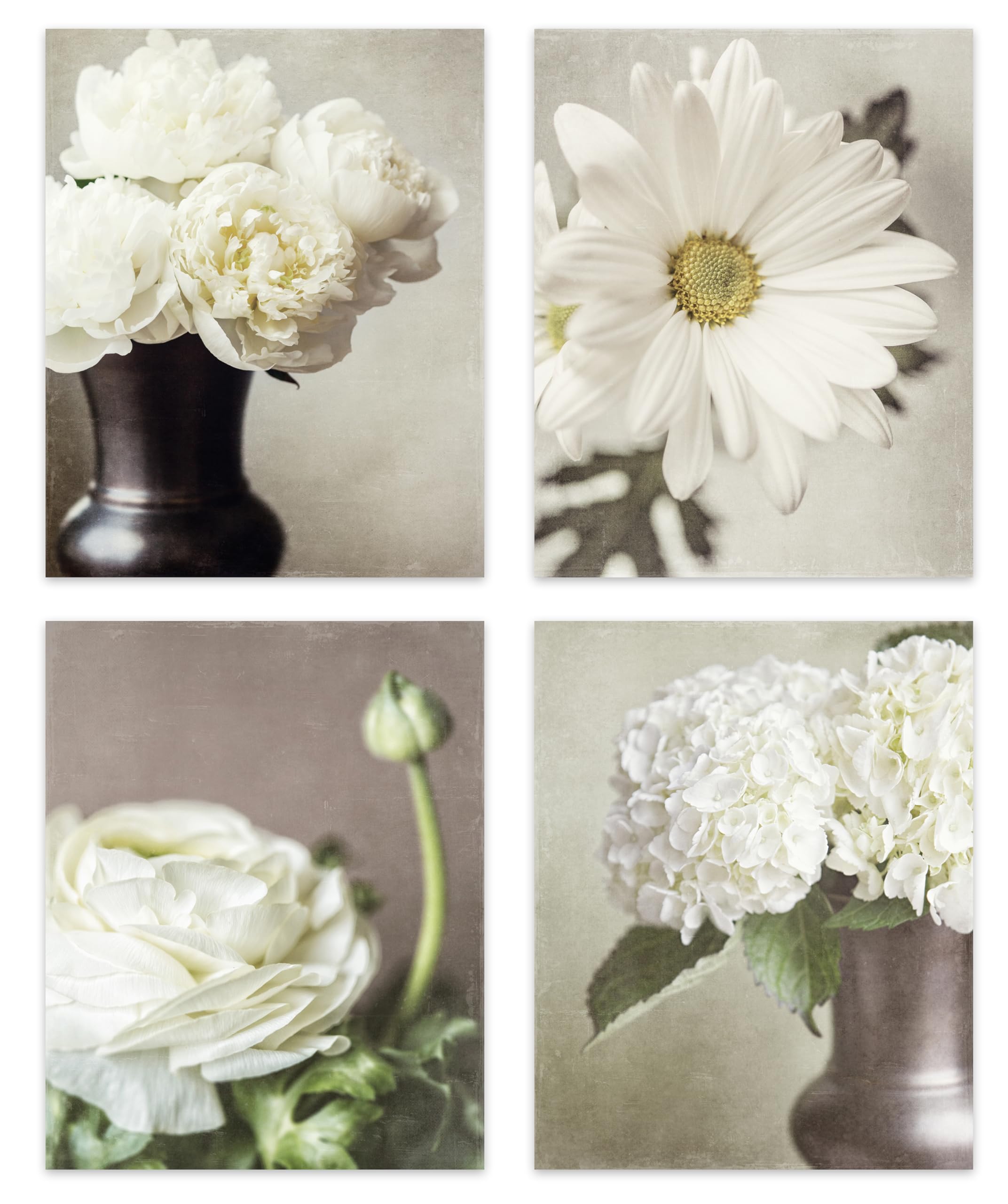 Lisa Russo Fine Art - Nature Wall Art - Botanical Flower Wall Decor Pictures - Shabby Chic Style - Set of 4 - Not Framed - Ivory, Tan, Beige (4 SMALL 5x7 Prints Only)