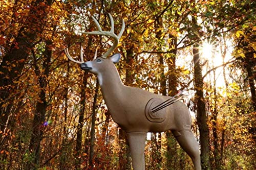 Shooter 3D Archery Targets with Replaceable Cores