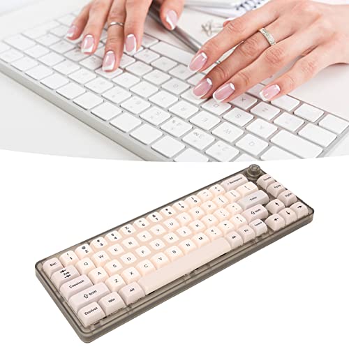 YEmirth Mechanical Keyboard 67 Keys RGB Backlit Hot Swap Ergonomic Design Compact Layout PBT Keycaps Gaming Keyboard