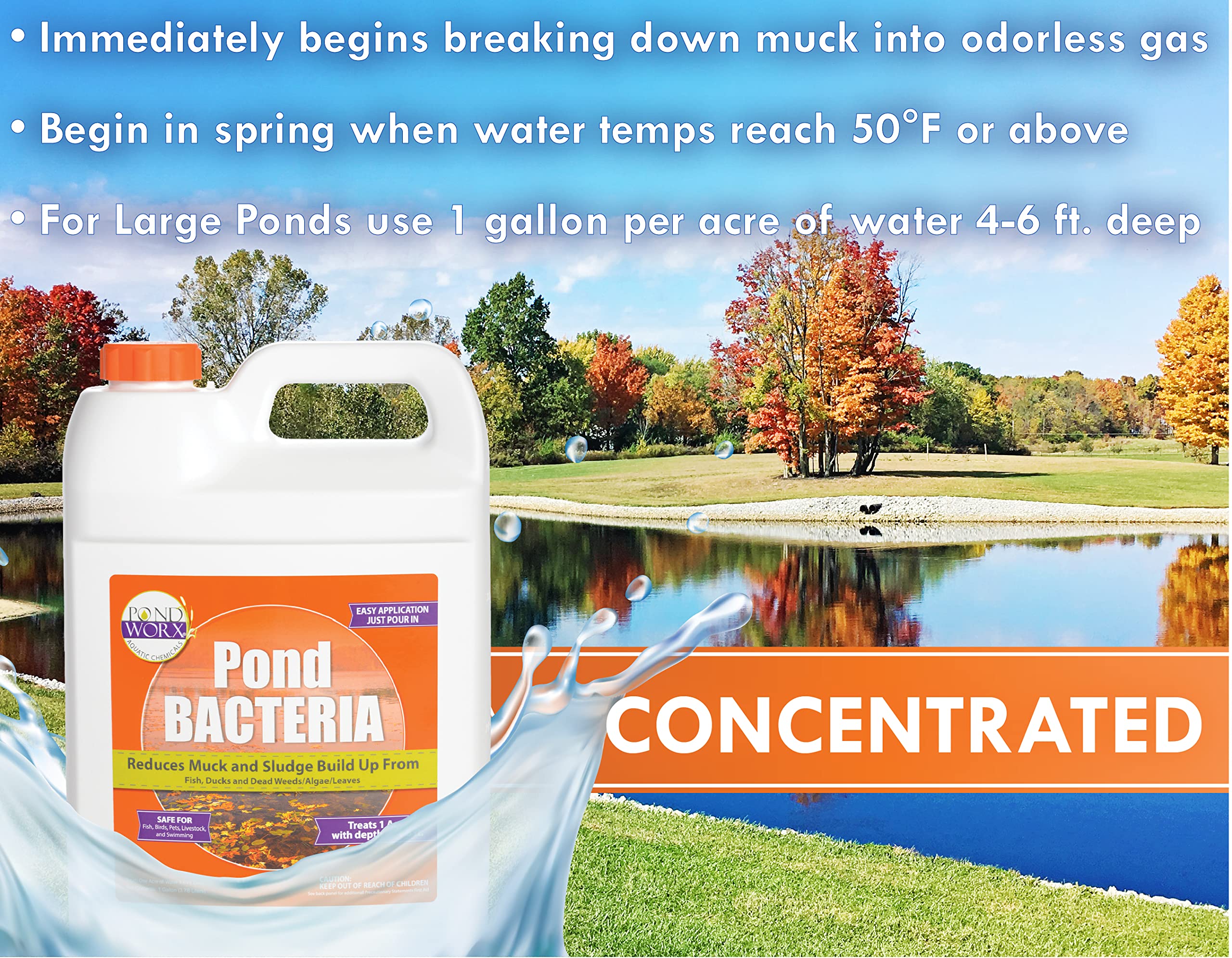 PondWorx Pond Bacteria and Water Clear- Formulated for Large Ponds, Water Features and Safe for Koi, Improves Water Quality- Gallon