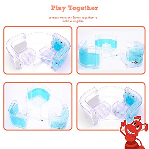 NAVADEAL Sand Ant Farm with Connecting Tubes, Habitat Educational & Learning Science Kit Toy for Kids & Adults - Allows Study of Ecosystem, Behavior of Ants, Explore The World at Home and School