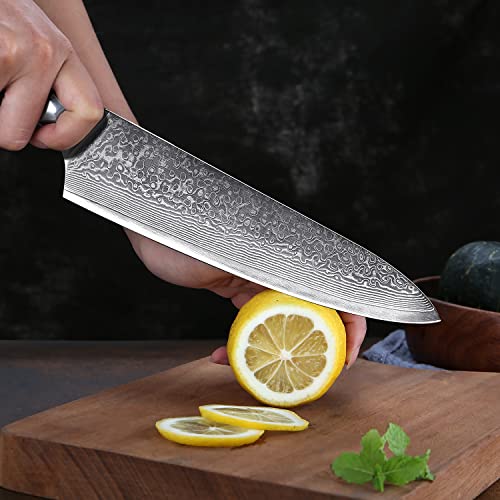 SENKEN 6-Piece Damascus Steel Kitchen Knife Set - Shogun Collection - 67-Layer Japanese VG10 Steel - Chef's Knife, Cleaver Knife, & More, Extremely Sharp Blades for Effortless Cutting, Luxury Gift Box
