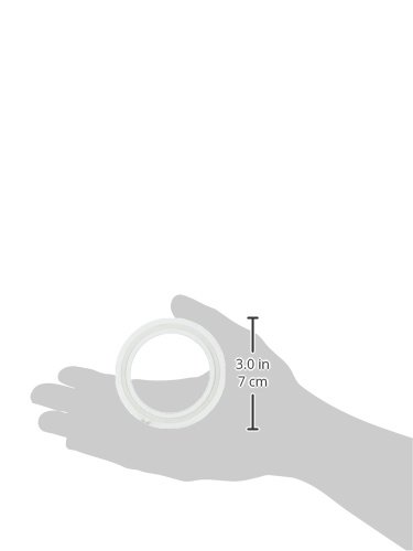 Waterway Plastics 806105124593 2" Heater O-Ring/Gasket