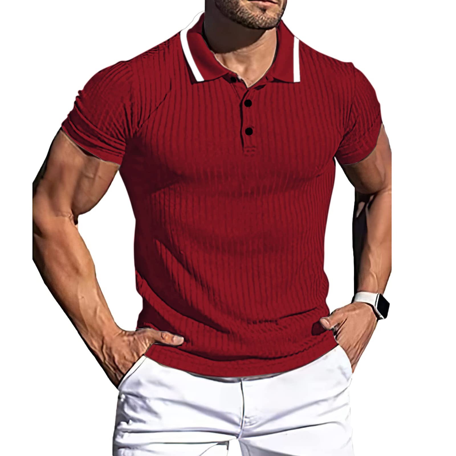 Polo Shirts for Men Short Sleeve T Shirts Golf Shirts Collared Slim Fit Ribbed Workout Muscle Casual Red 2XL