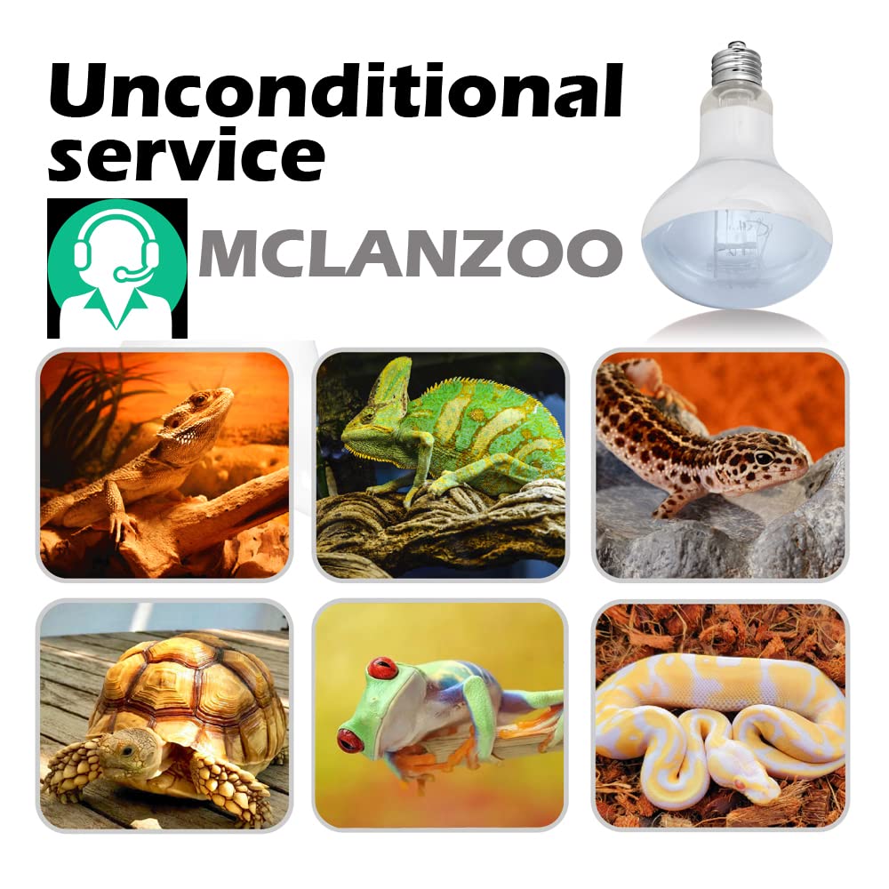 MCLANZOO Reptile Heat Lamp 75W 2 PACK,UVA Basking Spot Heat Lamp Bulbs,Natural Daylight Heating Light for Bearded Dragon, Turtle,Lizard,Chicken Brooder,Reptile with Digital Temperature Thermometer