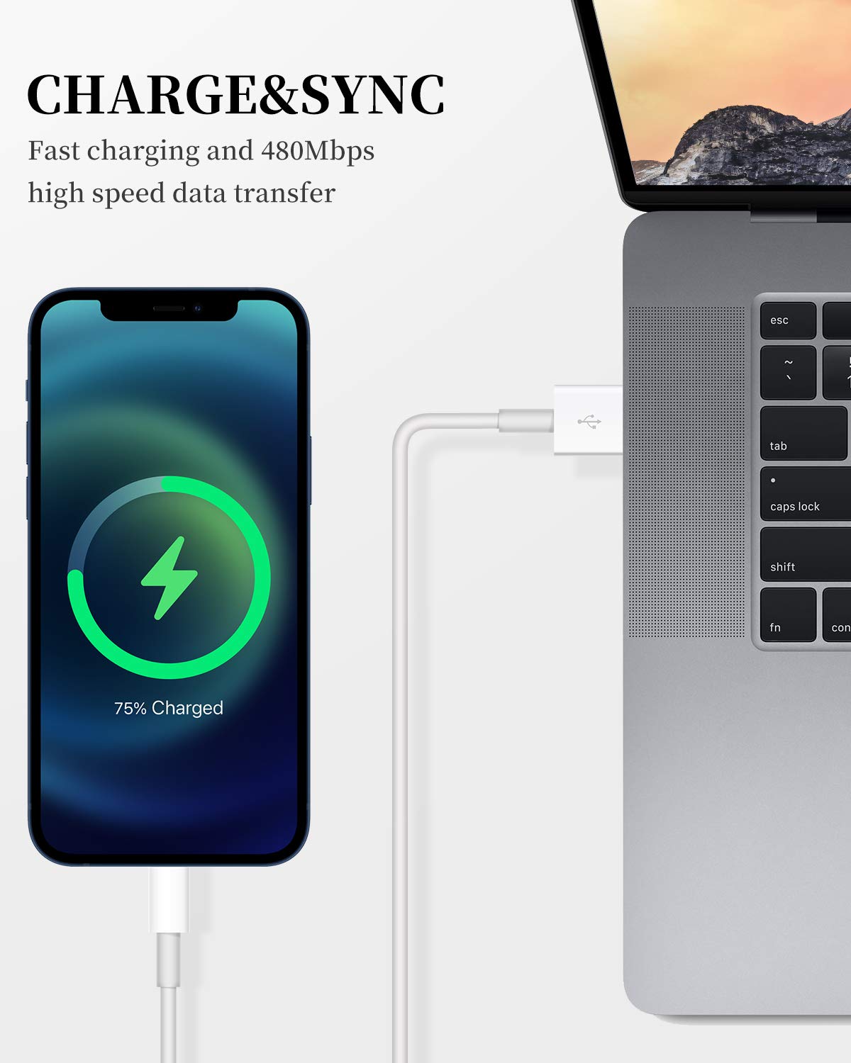 Uzento Charger Cable, 4 Pack USB Cable 10Ft, Fast Charging Cord
