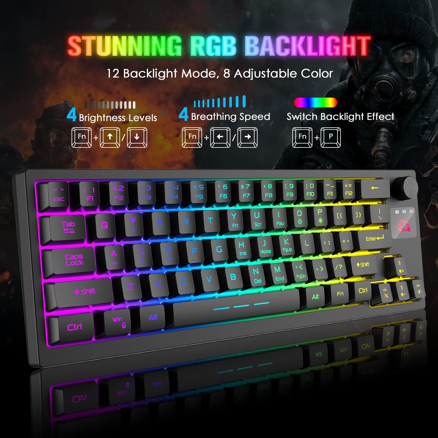 ZIYOU LANG Wireless TKL Computer Gaming Keyboard and Mouse and Wired USB RGB Stereo Sound Speakers