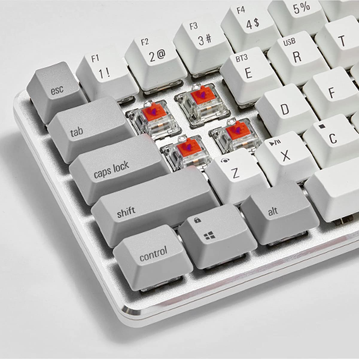 Qisan Mechanical Gaming Keyboard Gateron Red Switch Wired/Wireless Bluetooth Keyboard 68-Keys Mini Portable Design(60%) PBT Keycaps White/Gray Color for Gaming/Office Magicforce