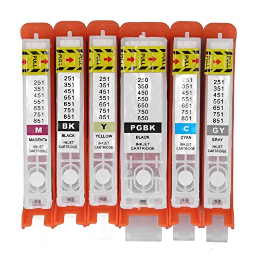 VINGVO Cartridge Combo Pack, Ink Cartridge Set Reusable 6PCS Clear Printing for Replacement (250-251)