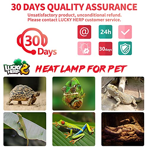LUCKY HERP 50W Reptile Heat Lamp Bulbs 2 Pack, Reptiles & Amphibians Infrared Basking Spot Lamp, Heat Light Bulb for Turtle, Bearded Dragon, Lizard