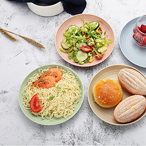 NAWOVAO Wheat Straw Plates Plastic Plates Reusable 10 Inch - Microwave Safe Plates for Kitchen Set of 4, Unbreakable Dinner Plates, BPA Free