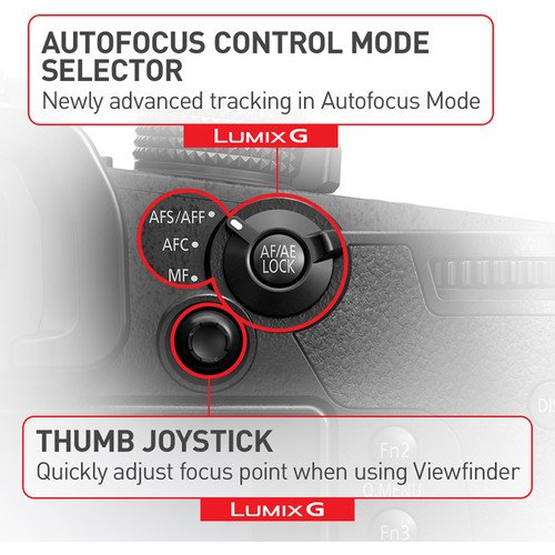 Panasonic Lumix DC-GH5S Mirrorless Micro Four Thirds Digital Camera DC-GH5S - Gold + Level Bundle