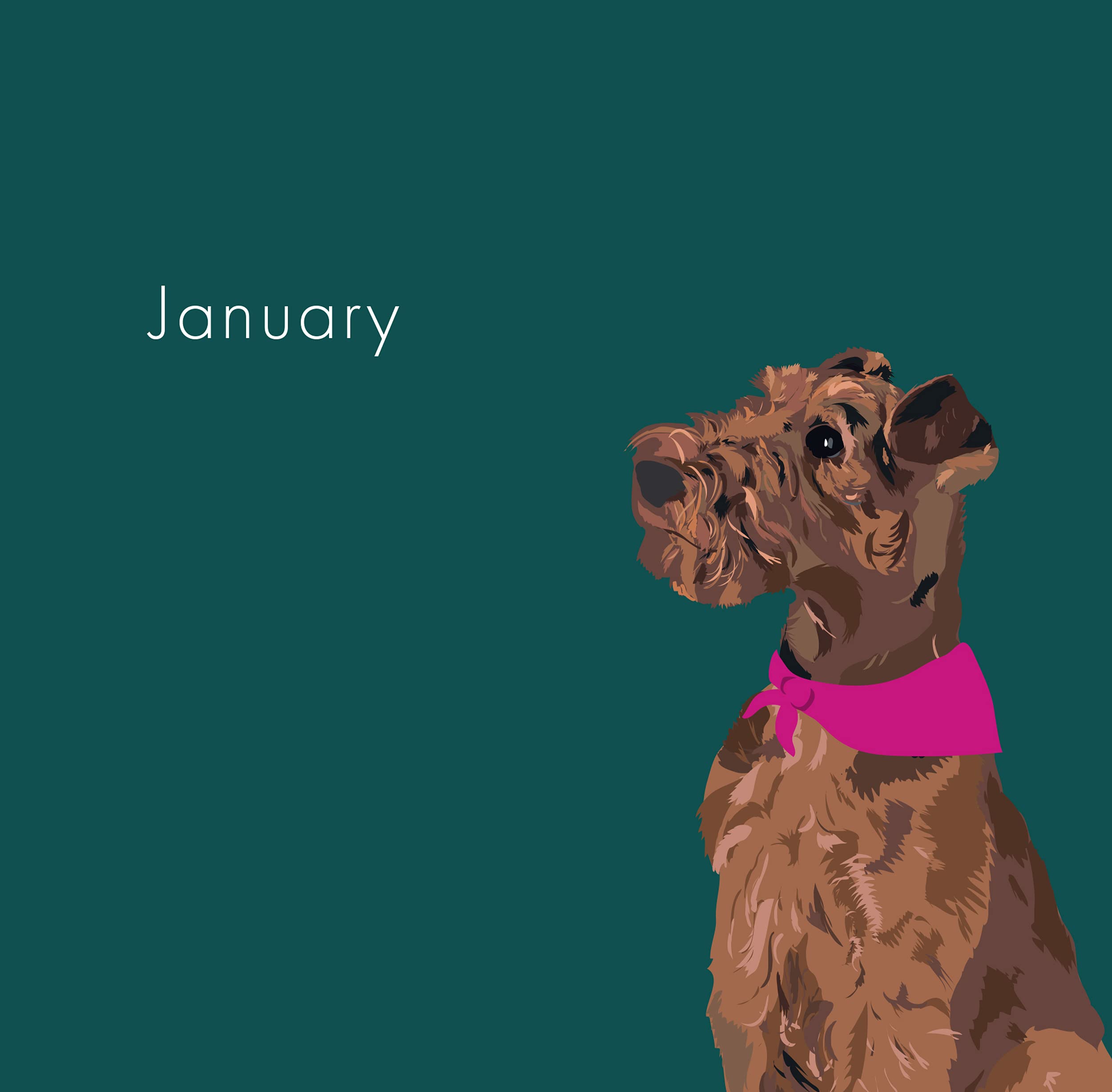 Portico Diaries 2022 - Joules Dogs Portraits Slim Diary (D22520)