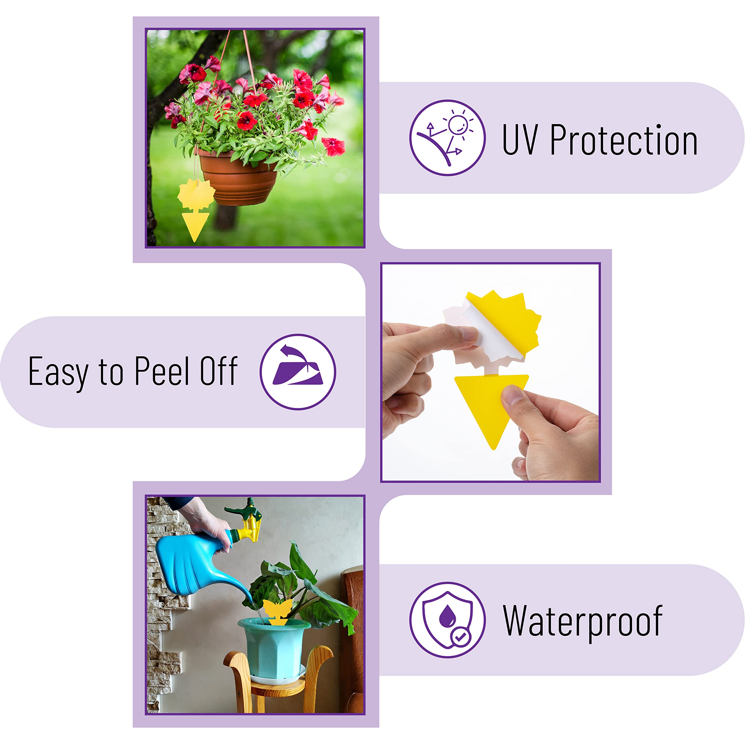 Sticky Fruit Fly Trap, 13 pcs, Fungus Gnat Sticky Trap with Shovel, Fly Traps for Indoors and Outdoor, Fruit Fly Killer, Gnat Sticky Traps for Plants, Fungus Gnat Killer