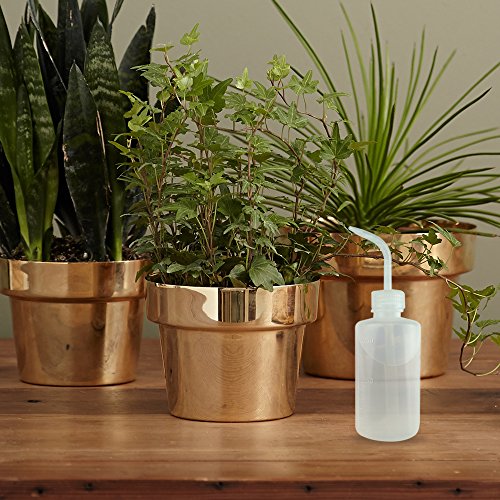 ZOND 3 Pack 250ml Succulent Water Bottle, Bonsai Watering Bottle, Squeeze Bottle for Multi-Purpose Makeup Liquids