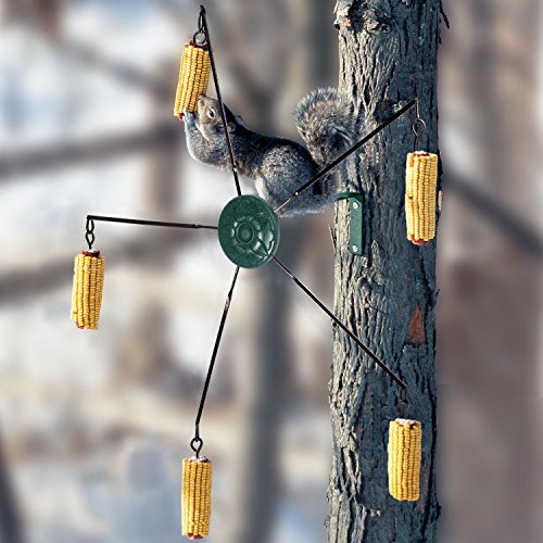 Woodlink 5560 Squirrel-Go-Round Squirrel Feeder