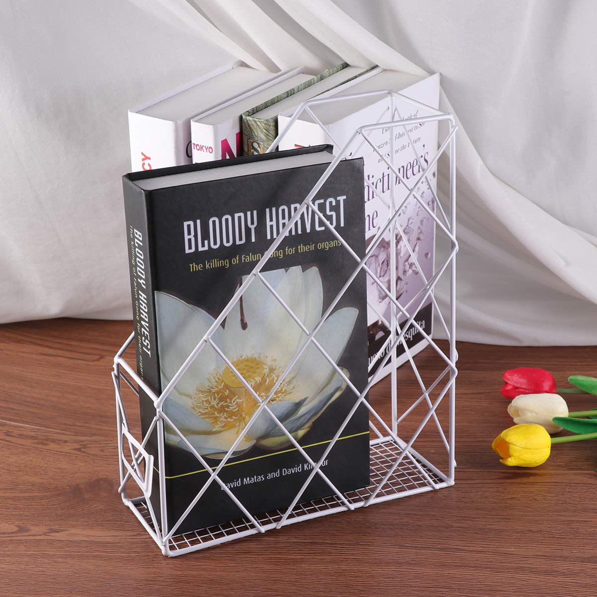 NUOBESTY Bookshelf for Office File Racks for Desktop Magazine File Holder Jewelry Organizer Hanger Desktop Organizer Magazine Stand Desk Accessories Storage Book Shelf White