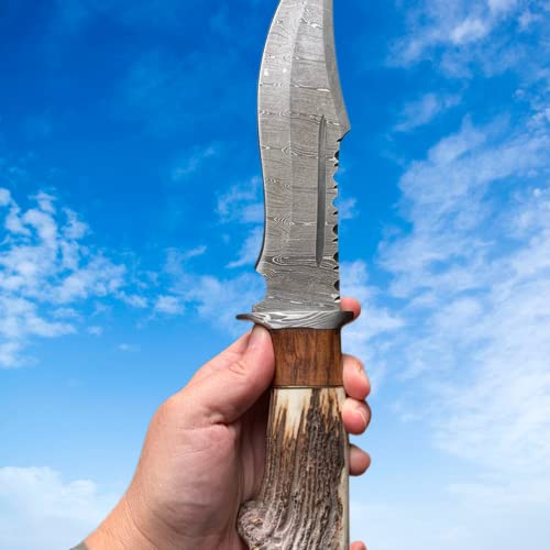 PSK132 - Damascus Steel Bowie Knife, Hunting knife, Viking knife, Stag Crown, Top Selling, Brown
