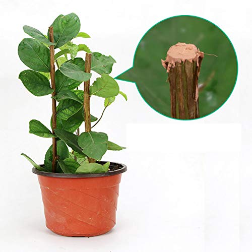 Tree Pruning Sealer, Bonsai Pruning Cutting Paste Tree Pruning Sealer Pruning Compound Tree Pruning Sealer for Garden Plant Grafting and Wound Treatment